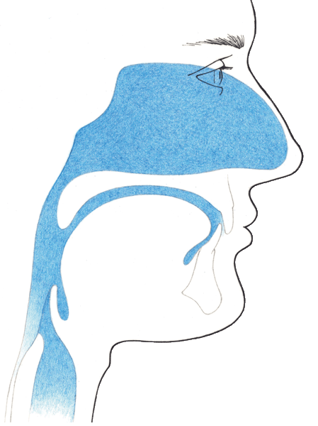 Sleep Apnea Surgery with Dr. Kasey Li